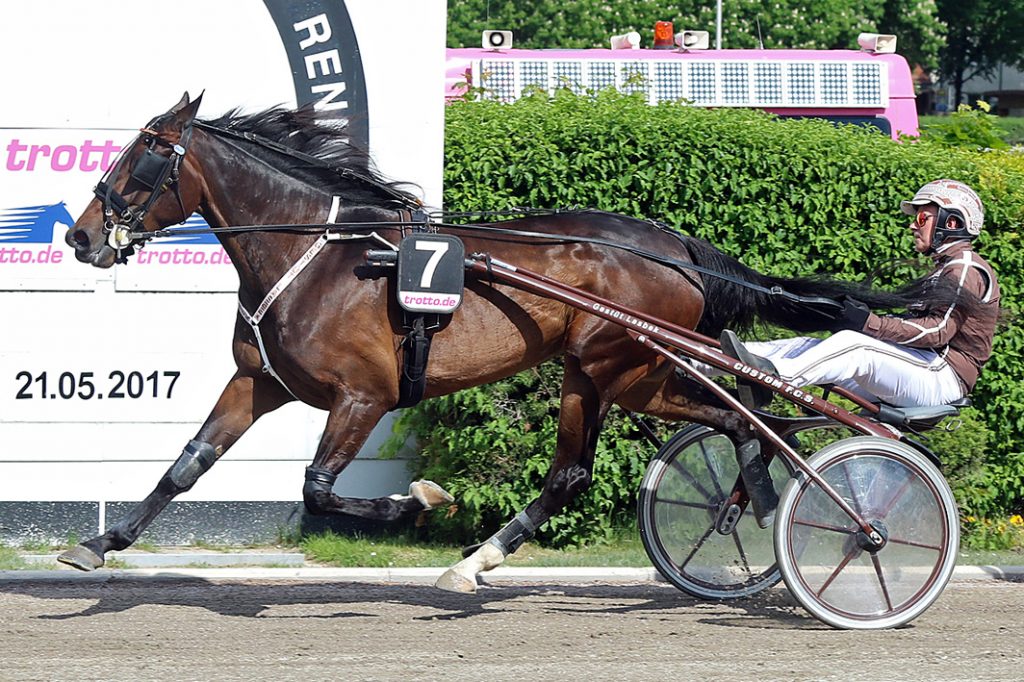 Vorschau auf das Mariendorfer Trab-Wochenende - Berlinsport-Aktuell