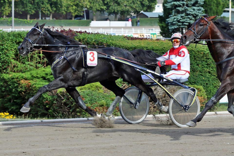Trab: Die Vorschau zum Mariendorfer Rennsonntag - Berlinsport-Aktuell
