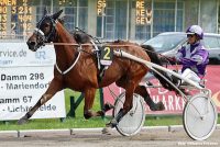 Trab: Der Mariendorfer Rennsonntag - Berlinsport-Aktuell