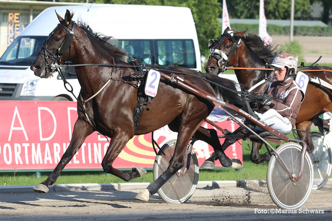 Trab: Vorschau auf den PMU-Renntag am Mittwoch in Mariendorf ...